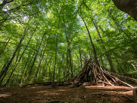 Imagens de Bosue – Explore Fotografias do Stock, Vetores e Vídeos de 23 ...