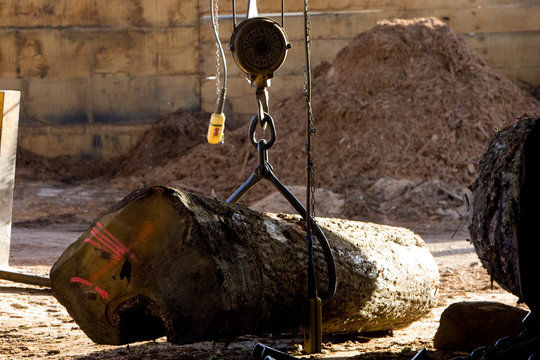 Sensemann Bilder – Durchsuchen 811 Archivfotos, Vektorgrafiken und ...