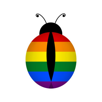 รูปภาพLadybag – เลือกดูภาพถ่ายสต็อก เวกเตอร์ และวิดีโอ255 | Adobe Stock