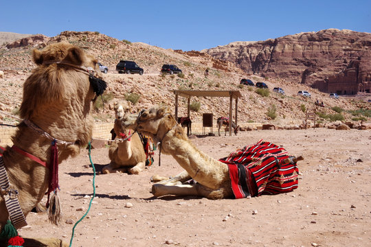 "Moyen Orient"-Bilder: Stock-Fotos & -Videos. | Adobe Stock