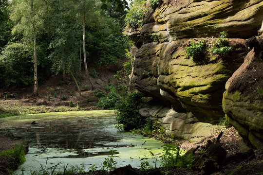 Harrogate bilder – Bläddra bland 2,122 stockfoton, vektorer och videor ...