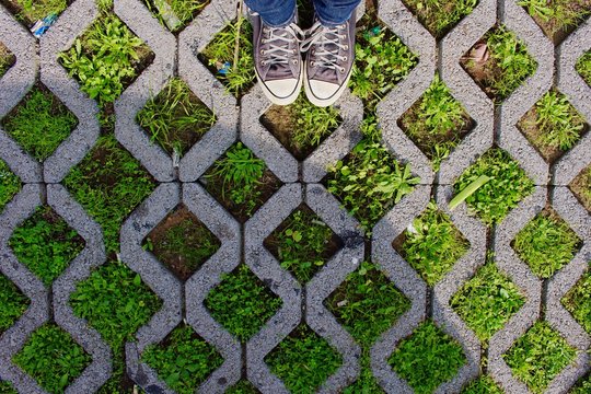 Repeating Grass Texture Images – Browse 18,331 Stock Photos, Vectors ...