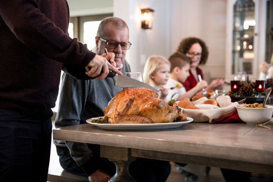 Imágenes de Gobbler: descubre bancos de fotos, ilustraciones, vectores ...