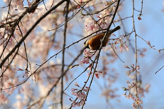 Otterrute Bilder – Durchsuchen 103 Archivfotos, Vektorgrafiken und ...