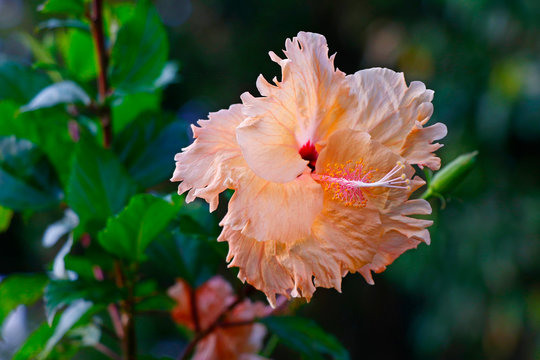 Verity Images – Parcourir 1,340 le catalogue de photos, vecteurs et ...