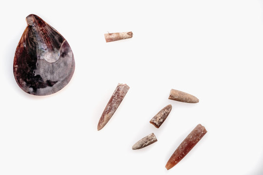 Donnerkeile Bilder – Durchsuchen 149 Archivfotos, Vektorgrafiken und ...