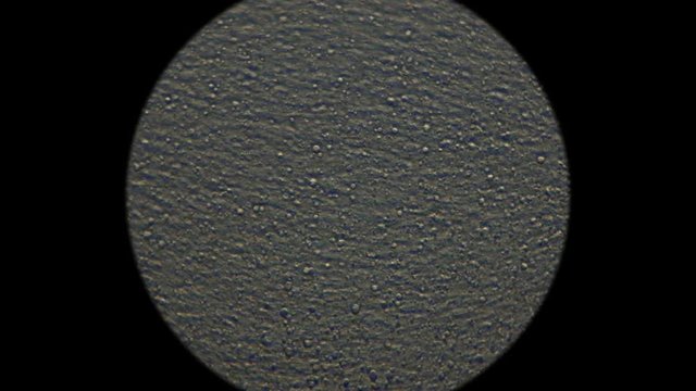 Bifidus Images – Parcourir 6,071 le catalogue de photos, vecteurs et ...