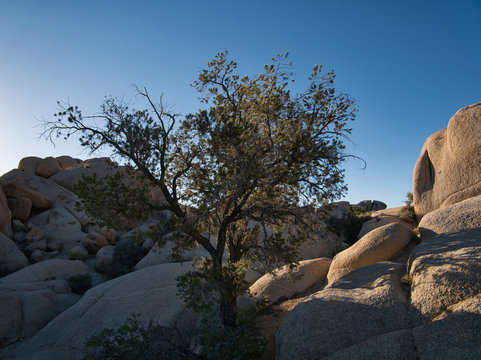 รูปภาพFelse – เลือกดูภาพถ่ายสต็อก เวกเตอร์ และวิดีโอ290 | Adobe Stock