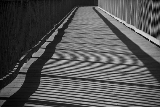 "Monotone Background" Images – Browse 274 Stock Photos, Vectors, and ...