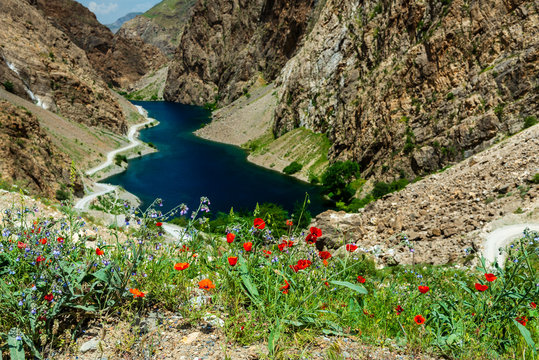 Zaneta photos, images, assets | Adobe Stock