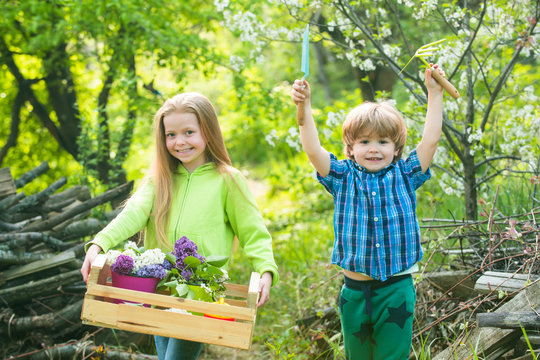 Spuddle Images – Browse 50 Stock Photos, Vectors, and Video | Adobe Stock