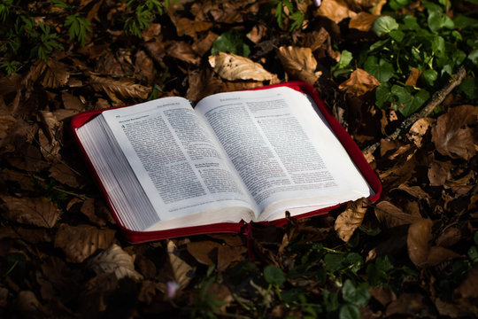 "Open Bible" photos, royalty-free images, graphics, vectors & videos ...