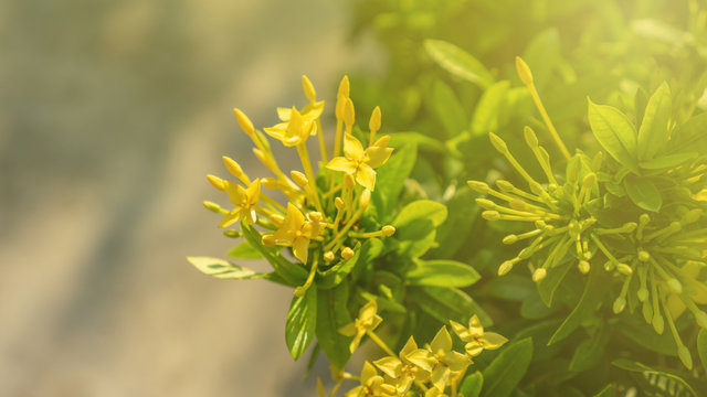 รูปภาพPonna – เลือกดูภาพถ่ายสต็อก เวกเตอร์ และวิดีโอ250 | Adobe Stock