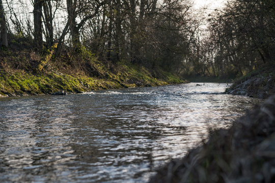 Renaturation Images – Browse 329 Stock Photos, Vectors, and Video ...