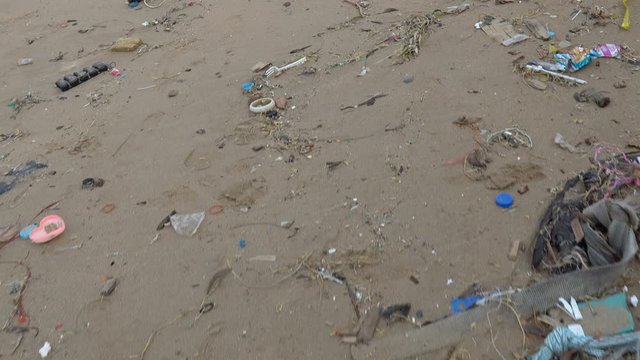 Nias Images – Browse 720 Stock Photos, Vectors, and Video | Adobe Stock