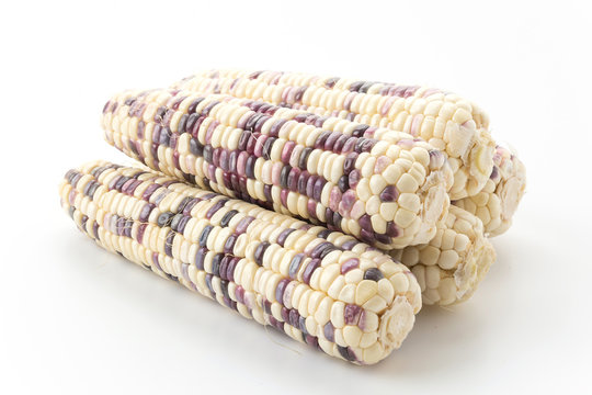 Cireux Images – Parcourir 14,476 le catalogue de photos, vecteurs et ...