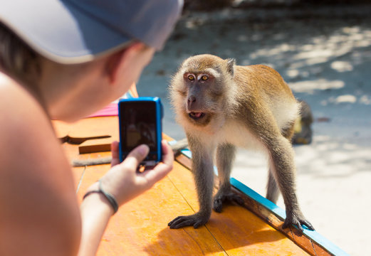 Take Photo Monkey Images – Browse 332 Stock Photos, Vectors, and Video ...