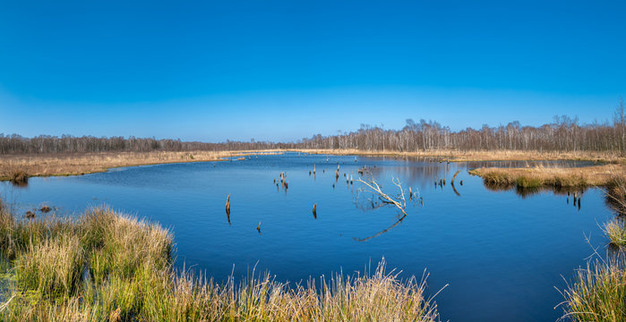 Hochmoor Bilder – Durchsuchen 282,158 Archivfotos, Vektorgrafiken und ...