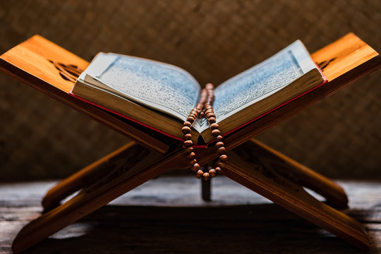 Rehal Imagens – Procure 768 fotos, vetores e vídeos | Adobe Stock