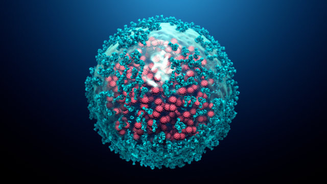 รูปภาพImmun – เลือกดูภาพถ่ายสต็อก เวกเตอร์ และวิดีโอ3,023 | Adobe Stock