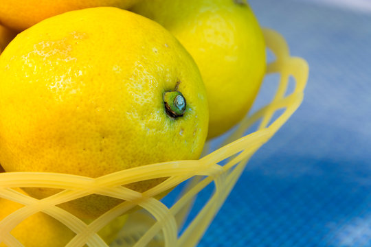 รูปภาพCytryna – เลือกดูภาพถ่ายสต็อก เวกเตอร์ และวิดีโอ4,870 | Adobe Stock