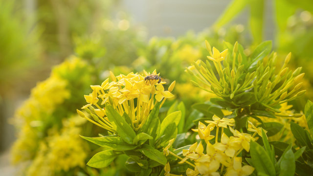 รูปภาพPonna – เลือกดูภาพถ่ายสต็อก เวกเตอร์ และวิดีโอ225 | Adobe Stock