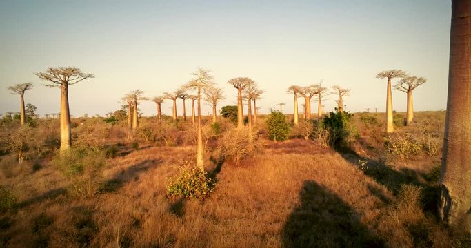 "Madagascar Landscape" Bilder – Durchsuchen 246 Archivfotos ...