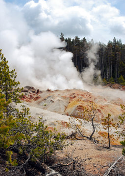 Thermophiles bilder – Bläddra bland 3,134 stockfoton, vektorer och ...