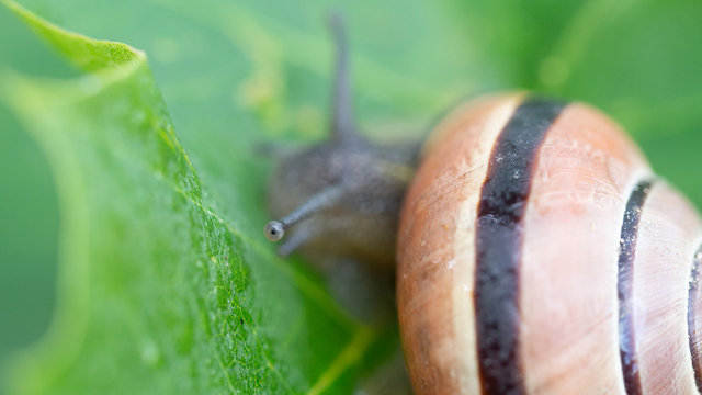 รูปภาพMuszla – เลือกดูภาพถ่ายสต็อก เวกเตอร์ และวิดีโอ3,648 | Adobe Stock