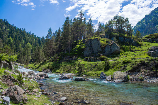 Lyd Photography photos, images, assets | Adobe Stock