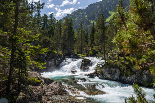 Lyd Photography photos, images, assets | Adobe Stock