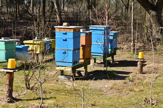 Imágenes de Ule: descubre bancos de fotos, ilustraciones, vectores y ...