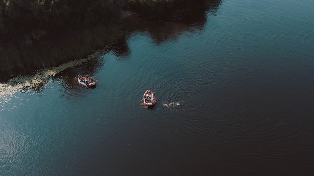 Overboard Images – Browse 1,126 Stock Photos, Vectors, and Video ...