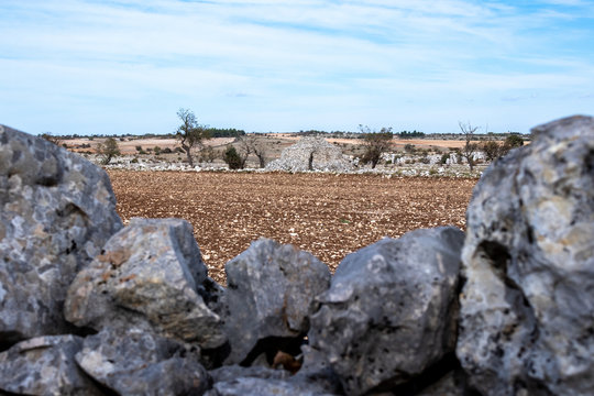 Altamura 이미지 – 찾아보기 1,347 스톡 사진, 벡터 및 비디오 | Adobe Stock