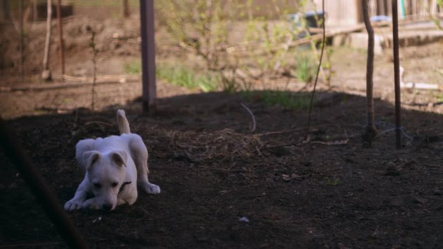 Pappy Images – Browse 1,084 Stock Photos, Vectors, and Video | Adobe Stock