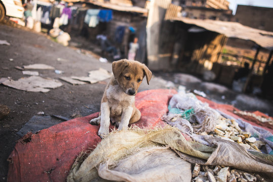 Unowned Images – Browse 596 Stock Photos, Vectors, and Video | Adobe Stock