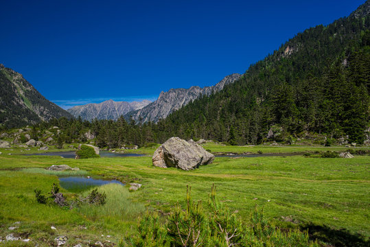 Lyd Photography photos, images, assets | Adobe Stock