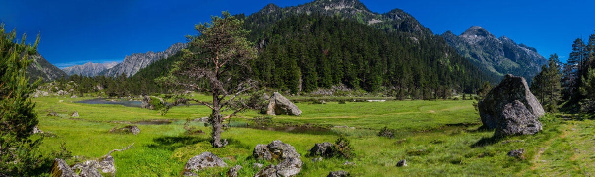 Lyd Photography photos, images, assets | Adobe Stock