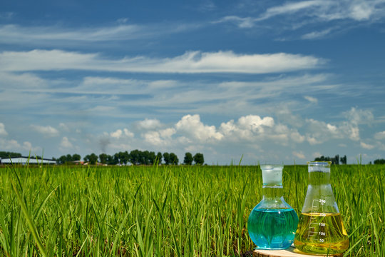 Agrochemistry Bilder – Durchsuchen 980 Archivfotos, Vektorgrafiken und ...
