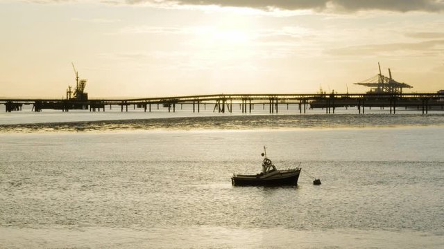 Roucouler Images – Parcourir 6,189 le catalogue de photos, vecteurs et ...