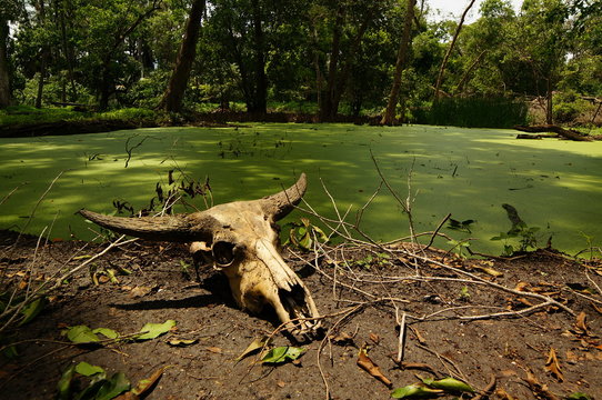 รูปภาพZnco3 – เลือกดูภาพถ่ายสต็อก เวกเตอร์ และวิดีโอ381 | Adobe Stock