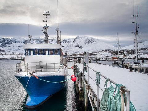 รูปภาพTromvik – เลือกดูภาพถ่ายสต็อก เวกเตอร์ และวิดีโอ82 | Adobe Stock