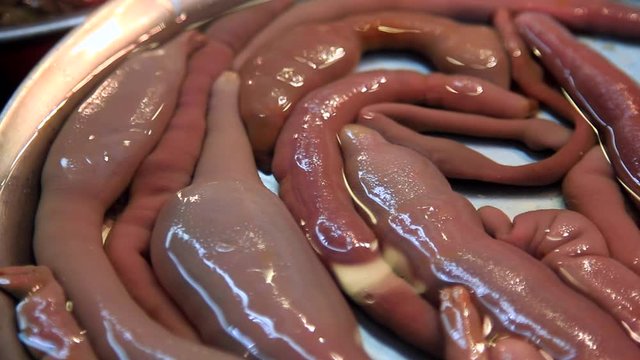 Gaebul Imagens – Procure 748 fotos, vetores e vídeos | Adobe Stock