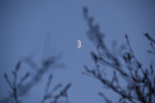 First Quarter Moon