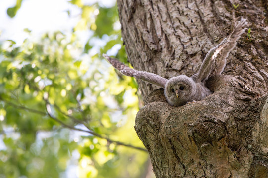 รูปภาพPenalise – เลือกดูภาพถ่ายสต็อก เวกเตอร์ และวิดีโอ32,882 | Adobe Stock