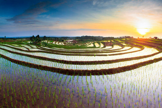 "Indonesian Landscape" Images – Browse 361 Stock Photos, Vectors, and ...