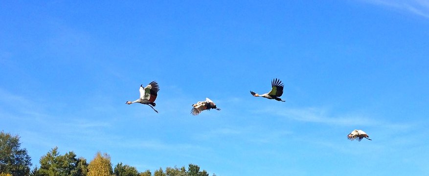 Schnacke Bilder – Durchsuchen 5,696 Archivfotos, Vektorgrafiken und ...