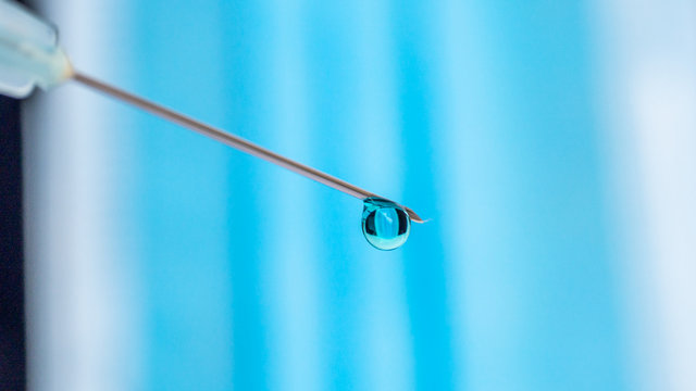 Nidle Billeder – Gennemse 69 stockfotos, vektorer og videoer | Adobe Stock