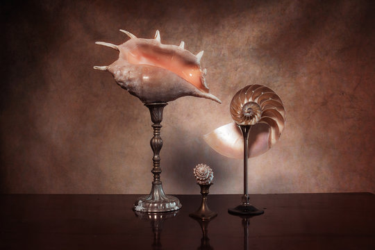 รูปภาพBugia – เลือกดูภาพถ่ายสต็อก เวกเตอร์ และวิดีโอ554 | Adobe Stock