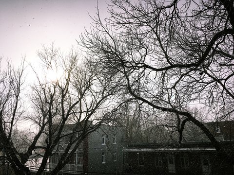 「Lugubre」の画像 - 673 件の Stock 写真、ベクターおよびビデオ | Adobe Stock